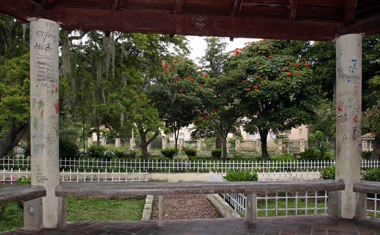 Soatá, tierra de dátiles, un destino para disfrutar | EL DIARIO