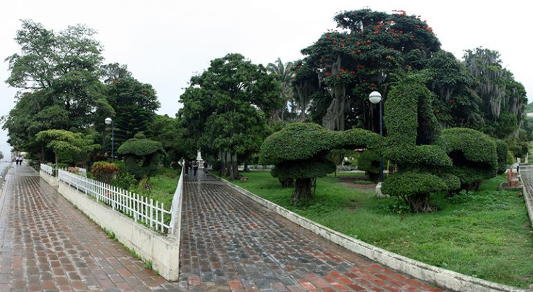 Soatá, tierra de dátiles, un destino para disfrutar | EL DIARIO