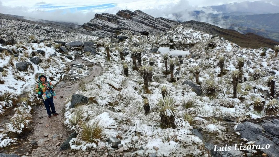 Así fue la nevada en la Sierra Nevada de Güicán | EL DIARIO